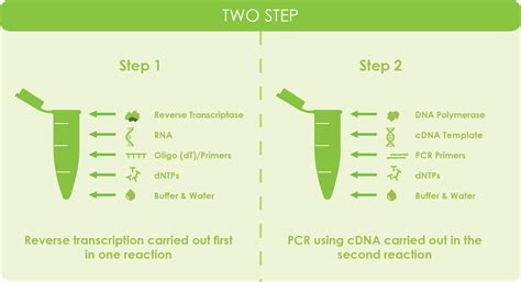 Reverse Transcriptase And Cdna Overview And Applications Goldbio