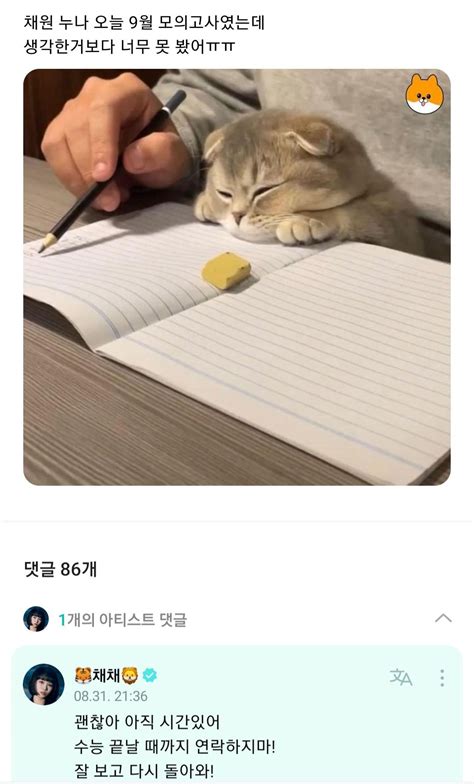 야 Istp 아이돌들 고민상담 컨텐츠 못하게해라 인스티즈 Instiz 이슈 카테고리