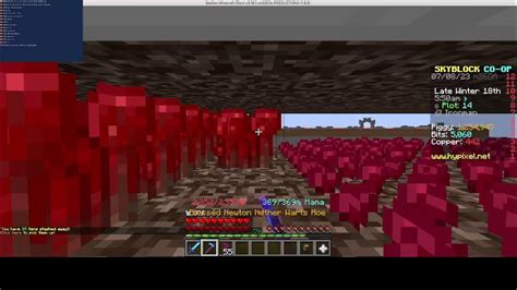 Hypixel Skyblock Ironman Progression Update Any Tips Youtube