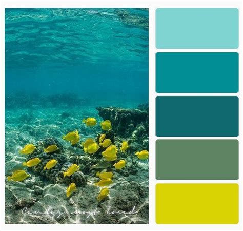 Underwater Color Palette At Wanda Mather Blog