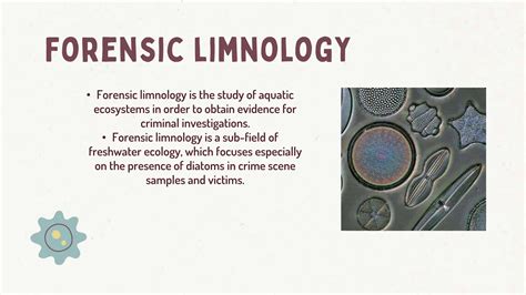 forensic limnology of diatoms by sanjai pptx