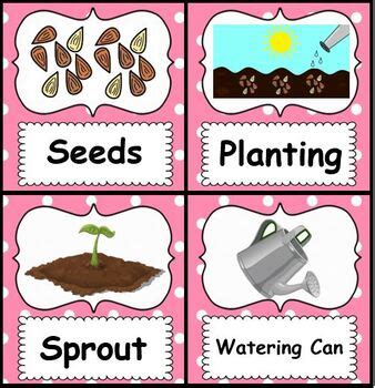 Spring Flashcards By Homegrown Hearts And Minds TpT