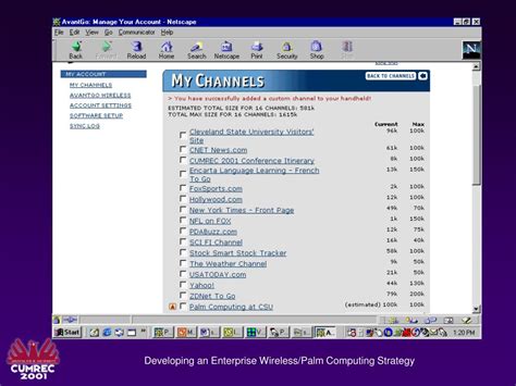 Ppt Developing An Enterprise Wirelesspalm Computing Strategy