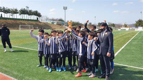 충남 소년체육대회 막 올랐다 노컷뉴스