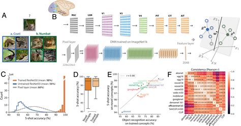 Neural Representational Geometry Underlies Few Shot Concept Learning PNAS