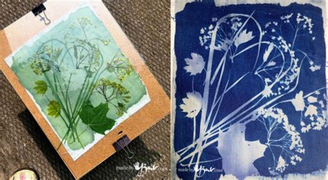 06132024 Cyanotype Workshop Sargent Memorial Library