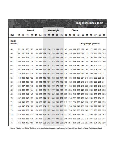 FREE 10 BMI Chart Samples In PDF DOC