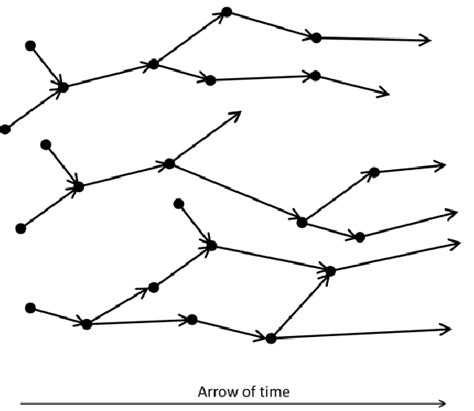 Causality Arrow Of Time And Information Flow Download Scientific Diagram