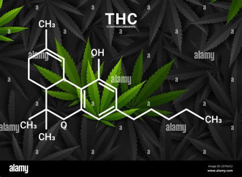 Thc Or Tetrahydrocannabinol Molecular Structural Chemical Formula Stock Vector Image And Art Alamy