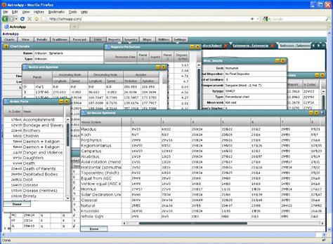 Placidus House System Pinprimary