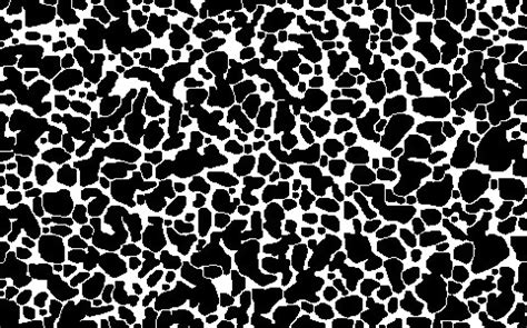Python Edge Completion Using Opencv Stack Overflow