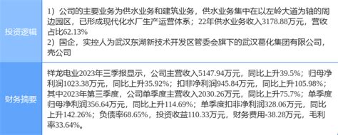 2月13日祥龙电业涨停分析水务PPP电力体制改革概念热股 数据 整理 收盘