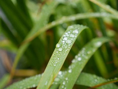 Panasonic Lumix Gh3 Sample Photos Ephotozine
