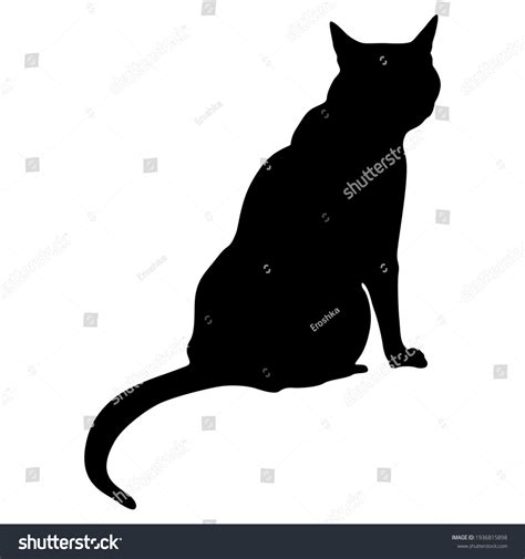 Sitting Domestic Cat Black Silhouette On Stock Vector Royalty Free