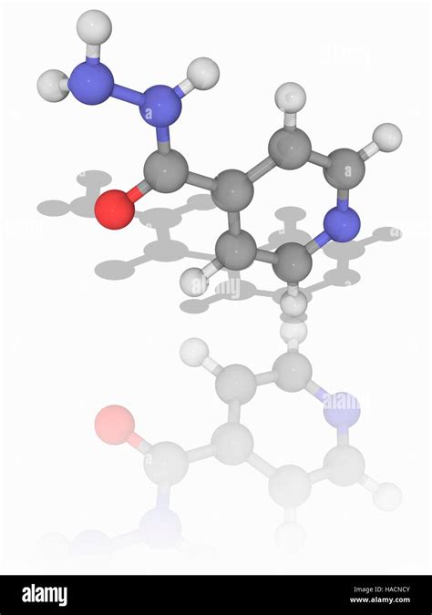 Treatment Of Tuberculosis Cut Out Stock Images And Pictures Alamy