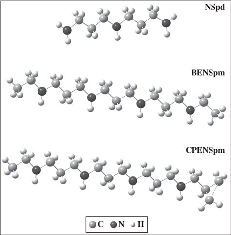 Figure 1 From Novel Pt Ii And Pd Ii Complexes With Polyamine