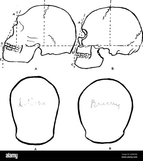 An Introduction To The Study Of Social Evolution The Prehistoric