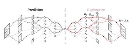Lrp Visualization Example [14] Download Scientific Diagram