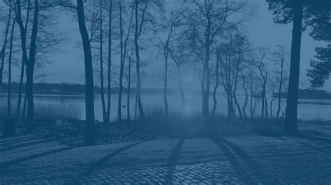 Co Investing Partnerships — The Future Of Strategic Computing