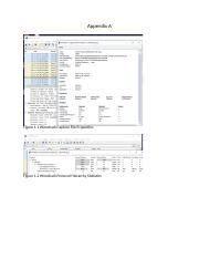 Appendix A Lab 1 Docx Appendix A Figure 1 1 Wireshark Capture File