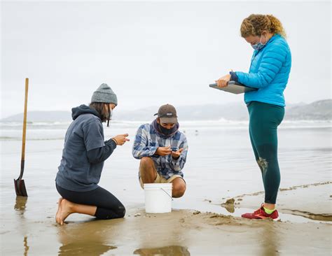 Pismo Clams Marine Conservation Lab