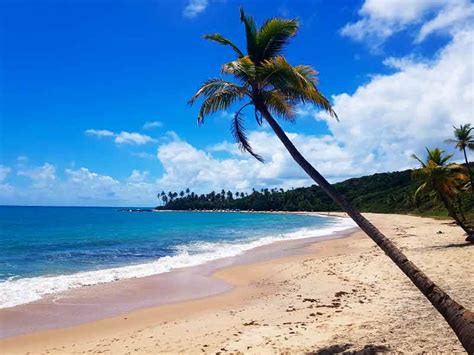 Praia De Coqueirinho PB Dicas Como Chegar E Quando Ir