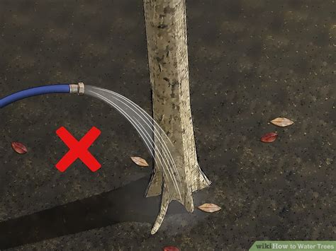 How To Water Trees With Pictures WikiHow How To Water Trees With Pictures WikiHow