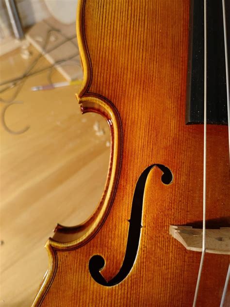 提琴尺寸挑选指南：小提琴、大提琴、中提琴和低音提琴 小提琴知识