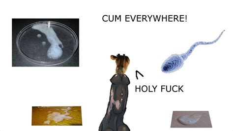 Cock Vore By Theweegeeman On Deviantart