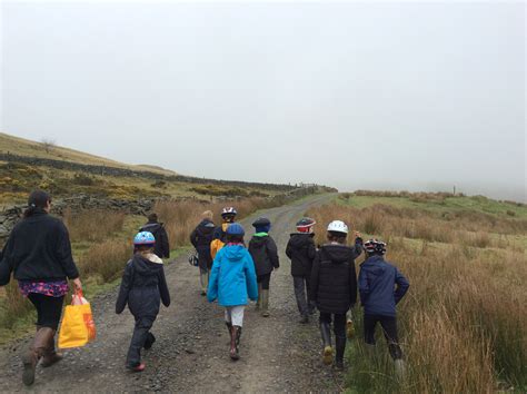 Trilobite Fossil Hunting Ysgol Pontffranc Franksbridge School