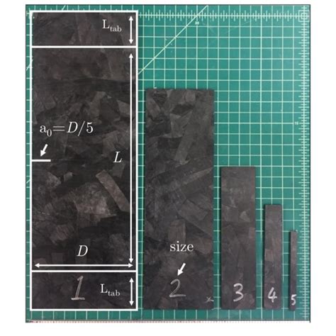 Geometrically Scaled Single Edge Notch Tension Specimens Investigated