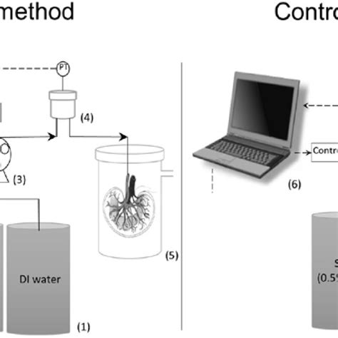 Schematic Diagram Of The Decellularization Apparatus For Improved