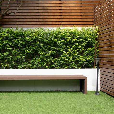 El Paso Landscaping | About | Green Tech Designs | Texas