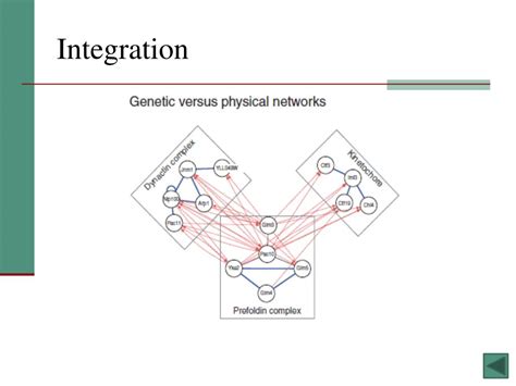 Ppt Predicting Protein Function Annotation Using Protein Protein Interaction Networks