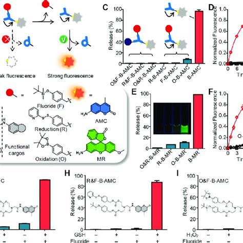 Dien Is Identified As Another And Molecular Logic Trigger With Enhanced