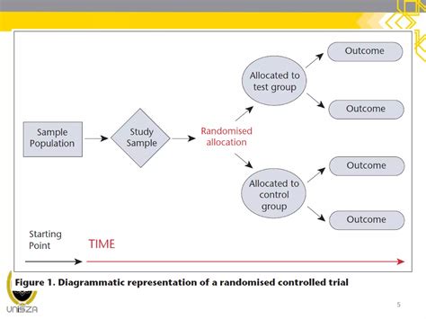 6 Randomised Controlled Trial Pdf