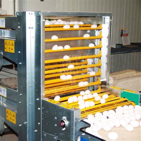Egg Processing Equipment Poultry Farming Equipment From Livi Machinery