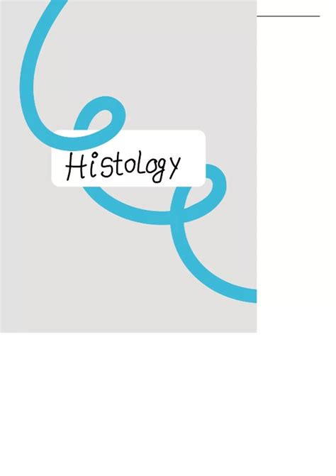 Summary Histology Of Lymphoid Organs Histology Of Lymphoid Organs