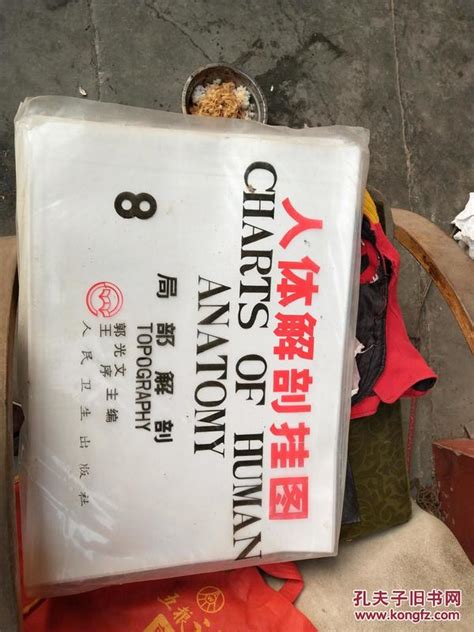 人体解剖挂图 8 局部解剖67幅全彩图106CM 77CM塑封 郭光文王序 主编 孔夫子旧书网