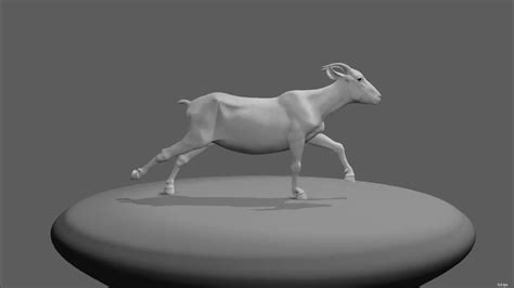 goat run cycle animation youtube
