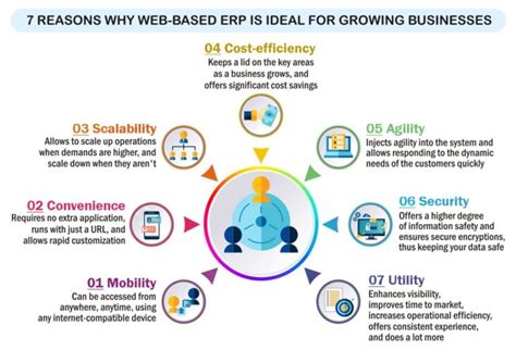 Reasons Why A Web ERP Is Ideal For Growing Businesses