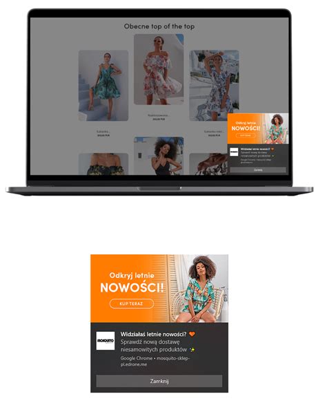O Que Notifica O Push E Como Usar No E Commerce