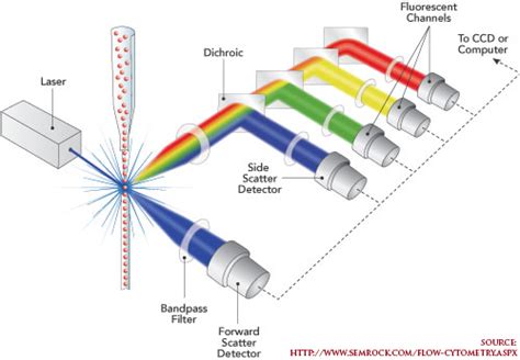 Flowinlab Flow Cytometry Flowinlab