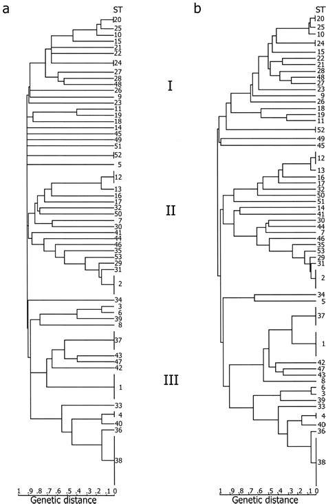 Multilocus Sequence Typing Scheme For Bacteria Of The Bacillus Cereus Group Applied And