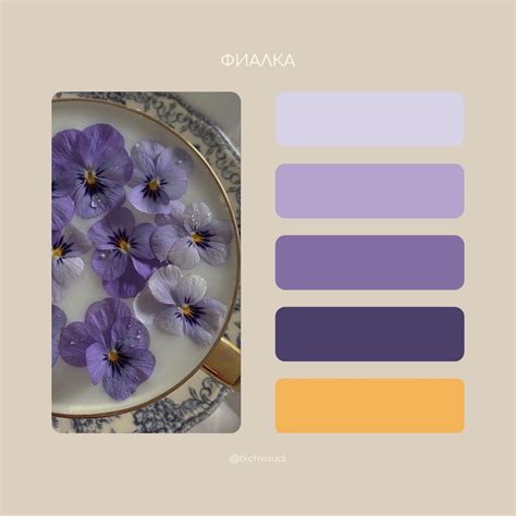 Фиалка Цветовая палитра для сторис