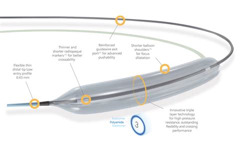 Accuforce™ Ptca Dilatation Catheter Tis
