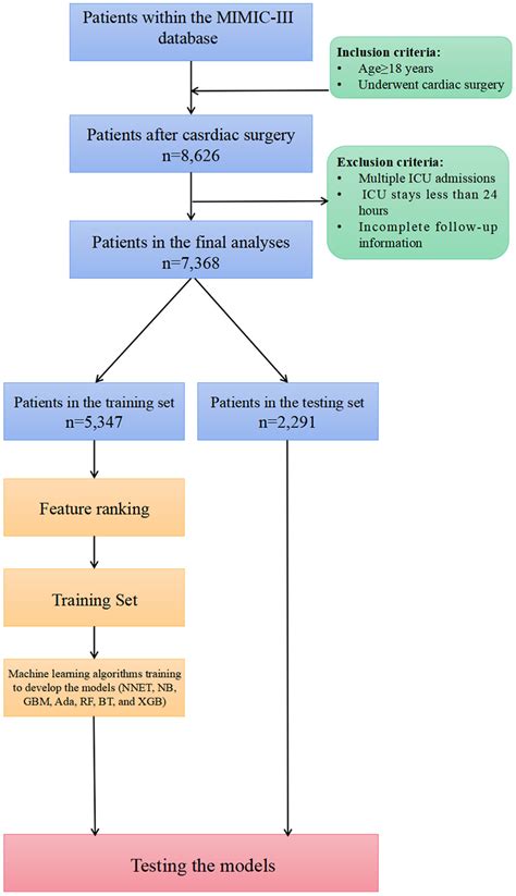 Overview Of The Methods Used For Data Extraction Training And Download Scientific Diagram
