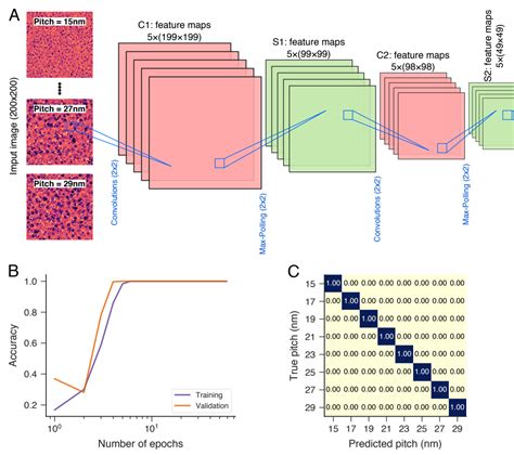 Learning Physical Properties Of Liquid Crystals With Deep Convolutional Neural Networks