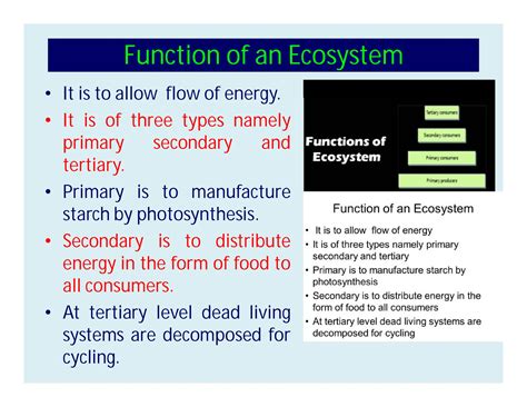 Environmental Pollution Types Causes Effects And Contr PPT