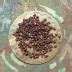 Pure Pepper Timut Pfeffer Kaufen Leni Hans